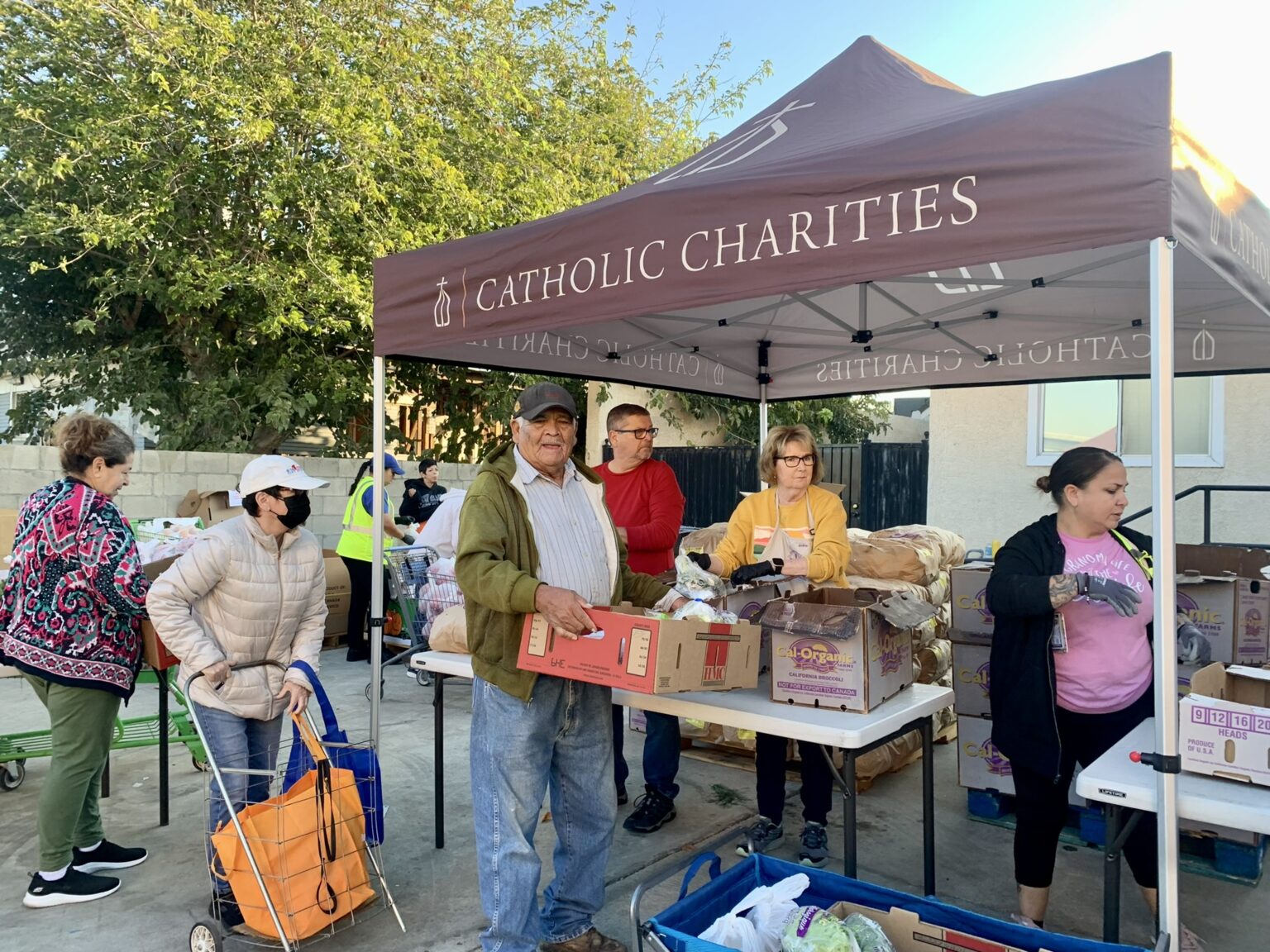 Our Services - Catholic Charities