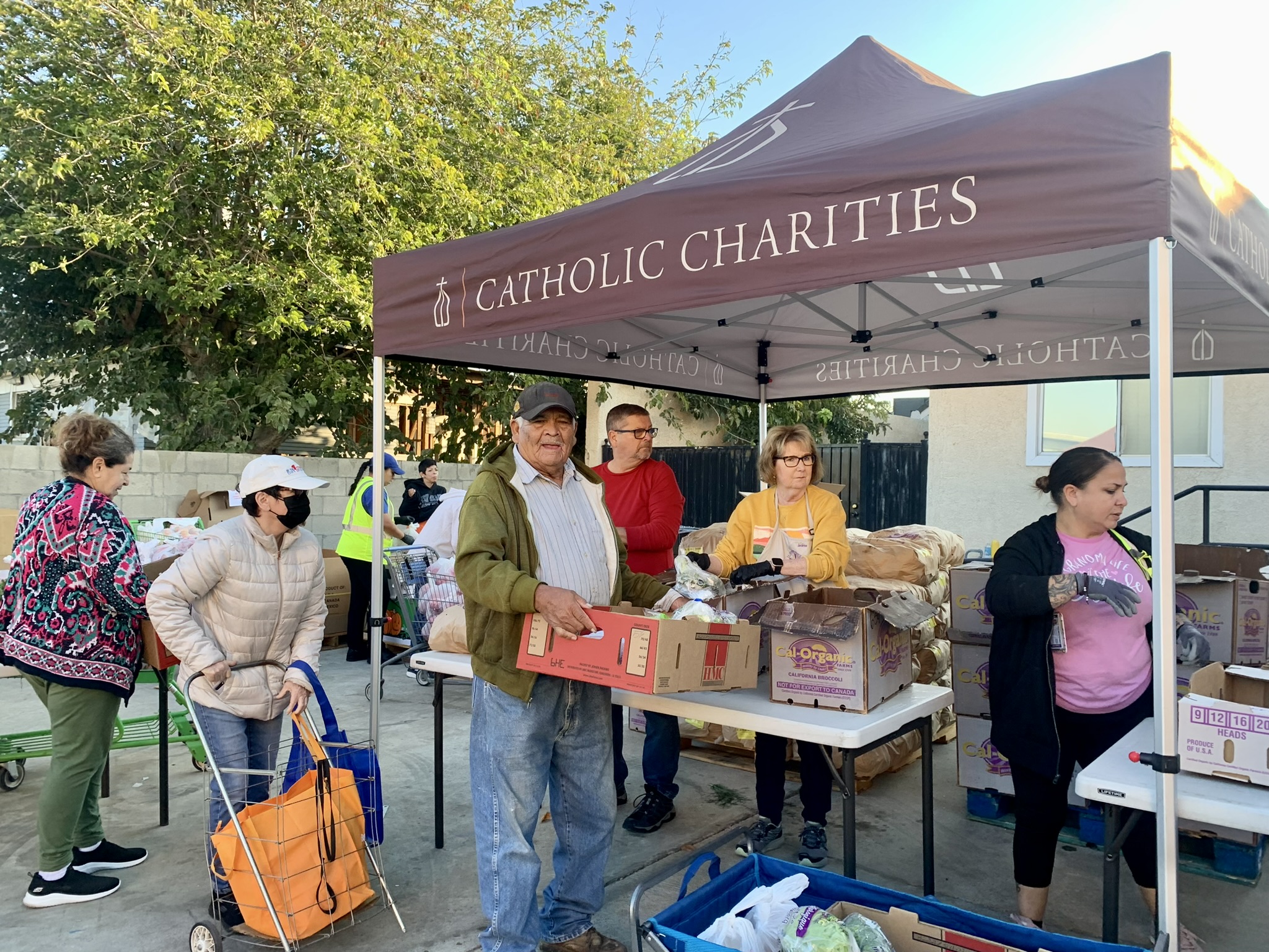 Our Services - Catholic Charities