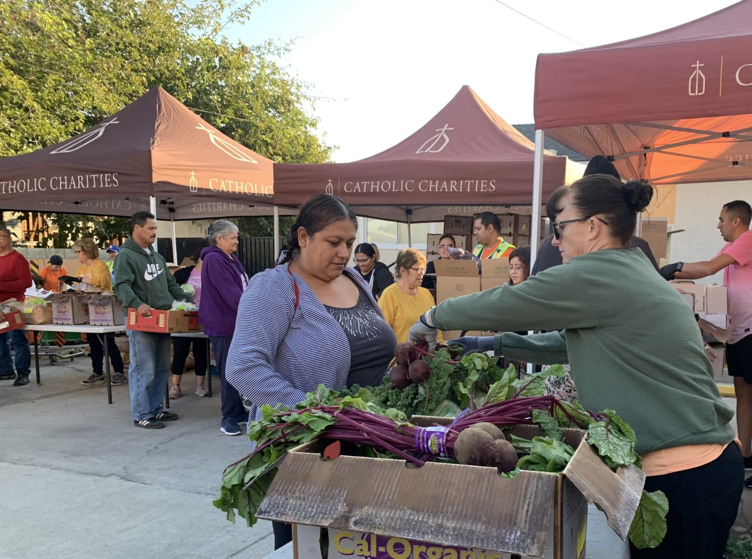 About Us - Catholic Charities